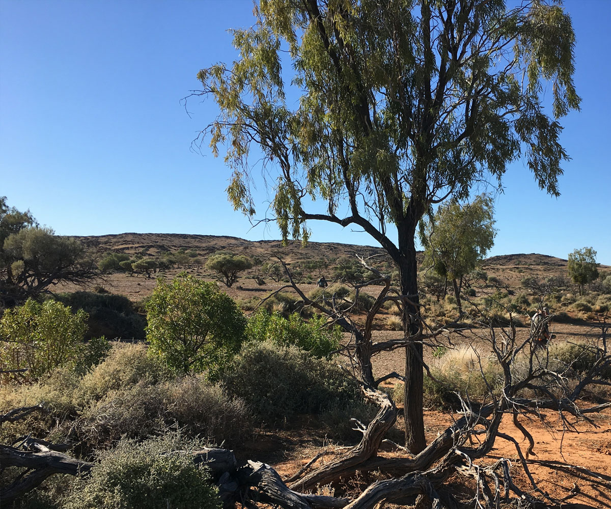 Propectors Depot – Central Victoria Prospecting